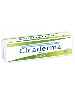 CICADERMA Salbe ist ein pflanzliches Arzneimittel.