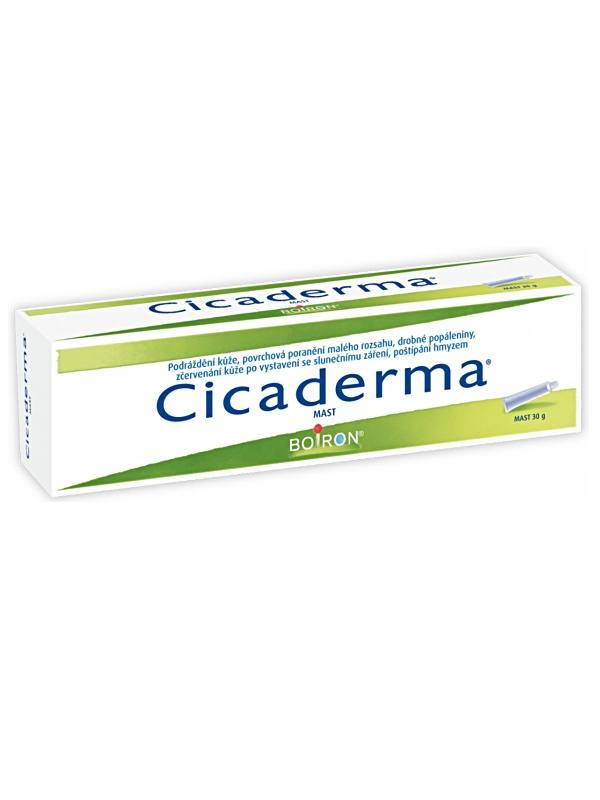 CICADERMA SALBE 30 G